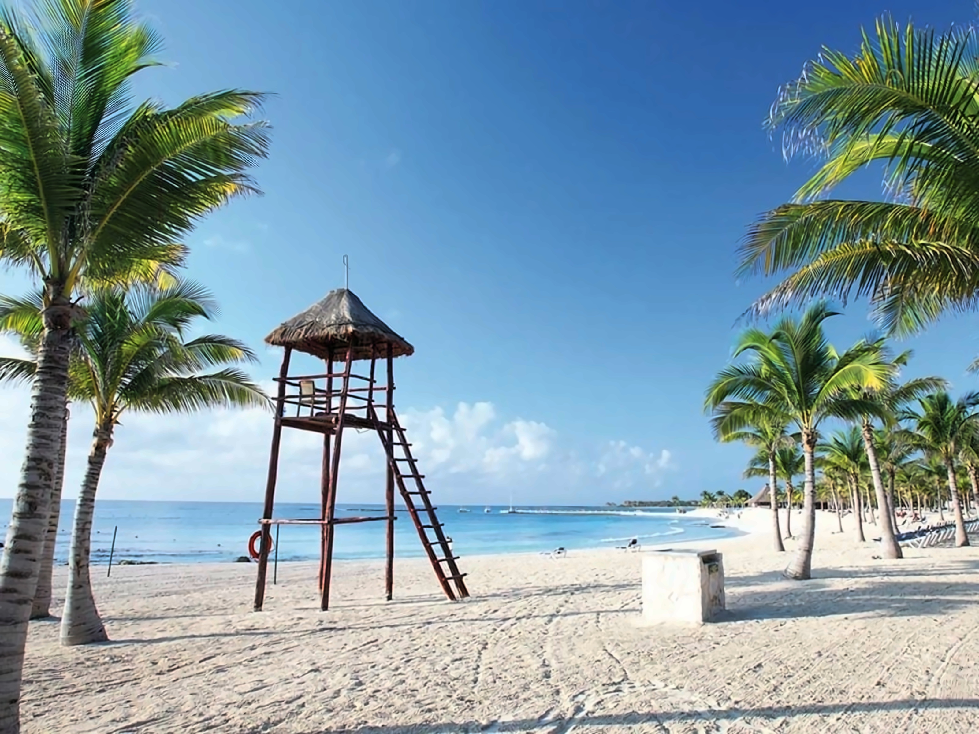 Barcelo Maya Tropical Beach Puerto Aventuras Мексика photo, price for ...