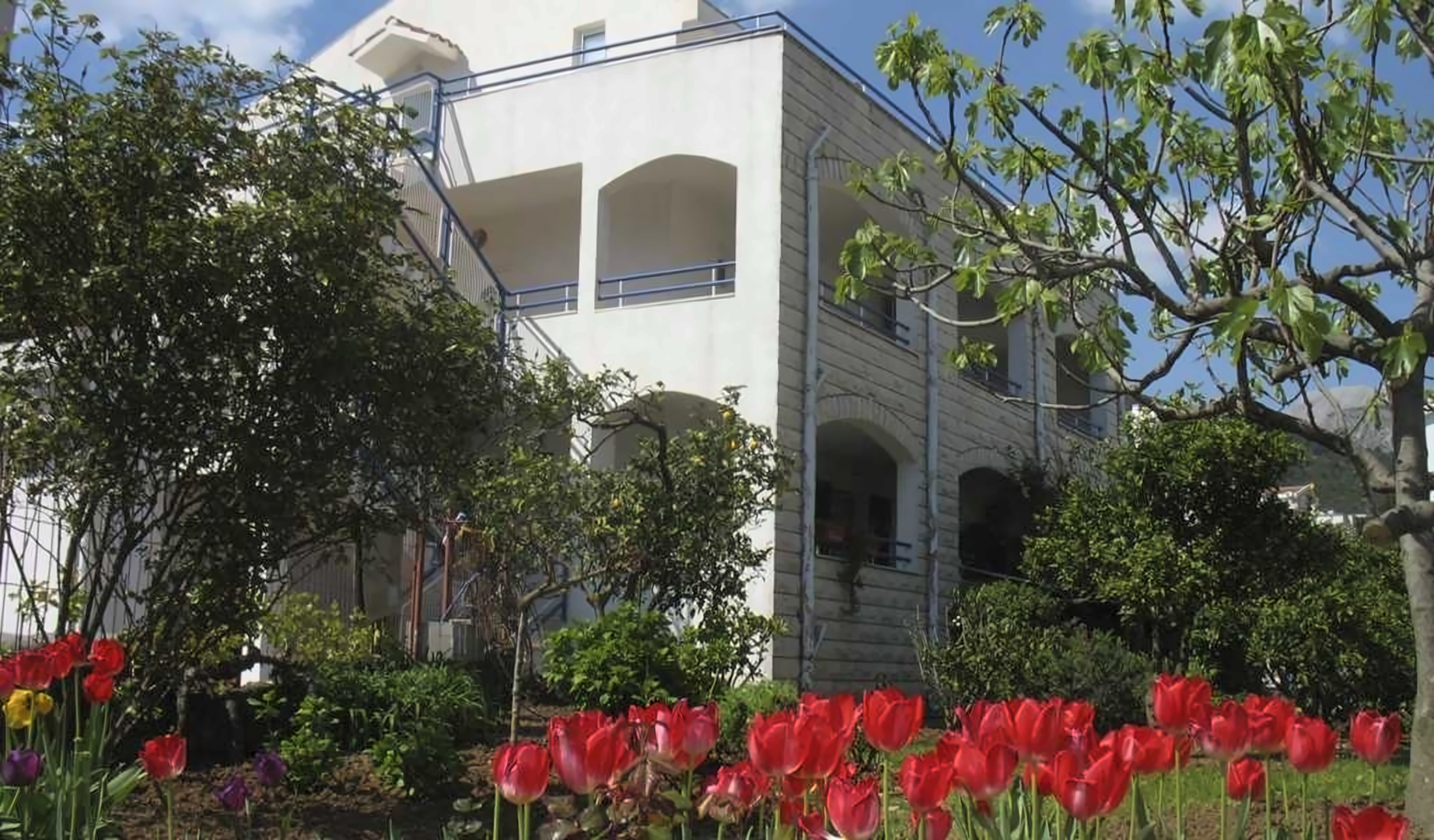 Villa Markovic II Budva Montenegro photo, price for the vacation from ...