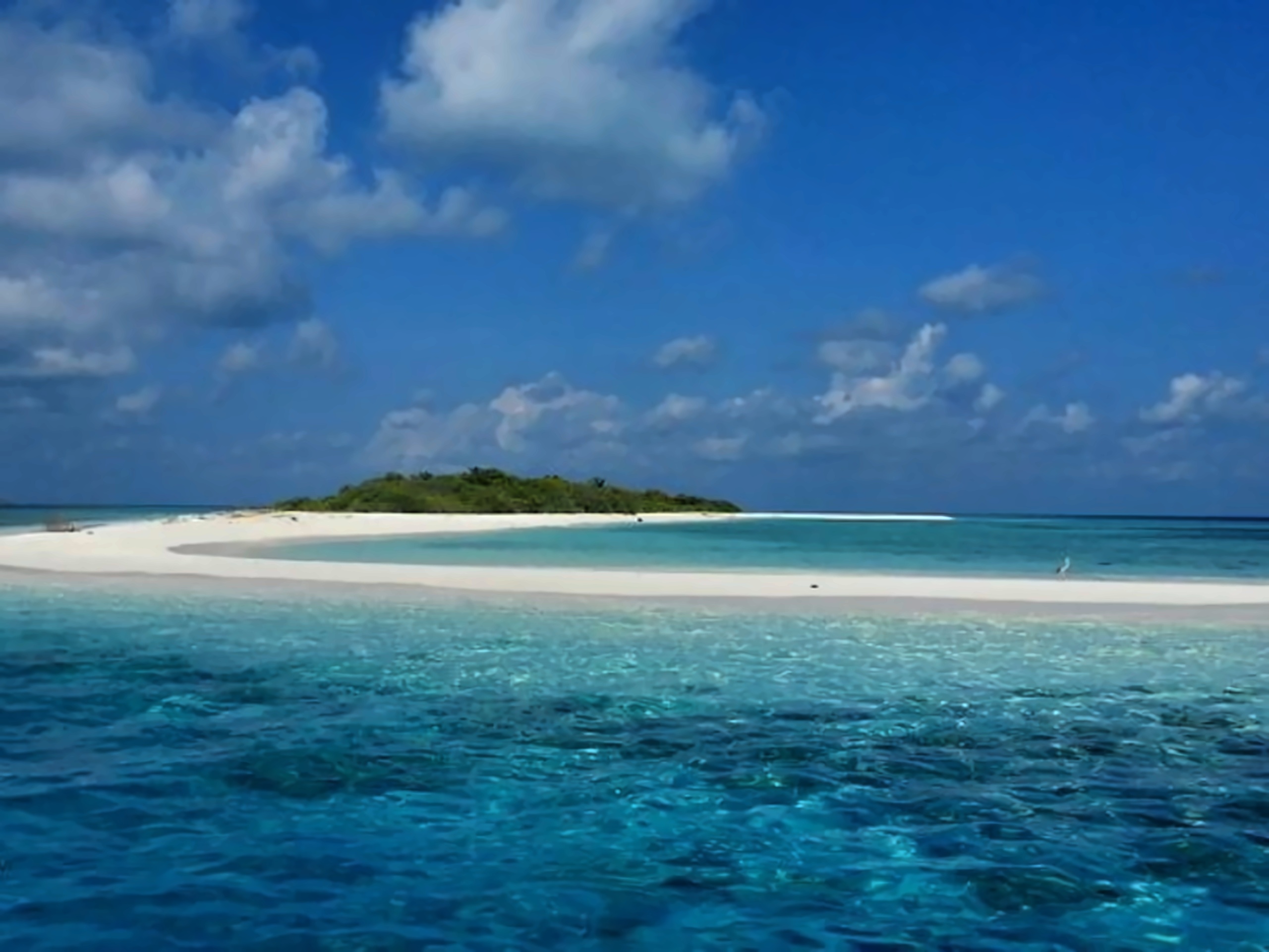 LVIS Blancura Hotel Raa Atoll & Baa Atoll Maldives photo, price for the ...