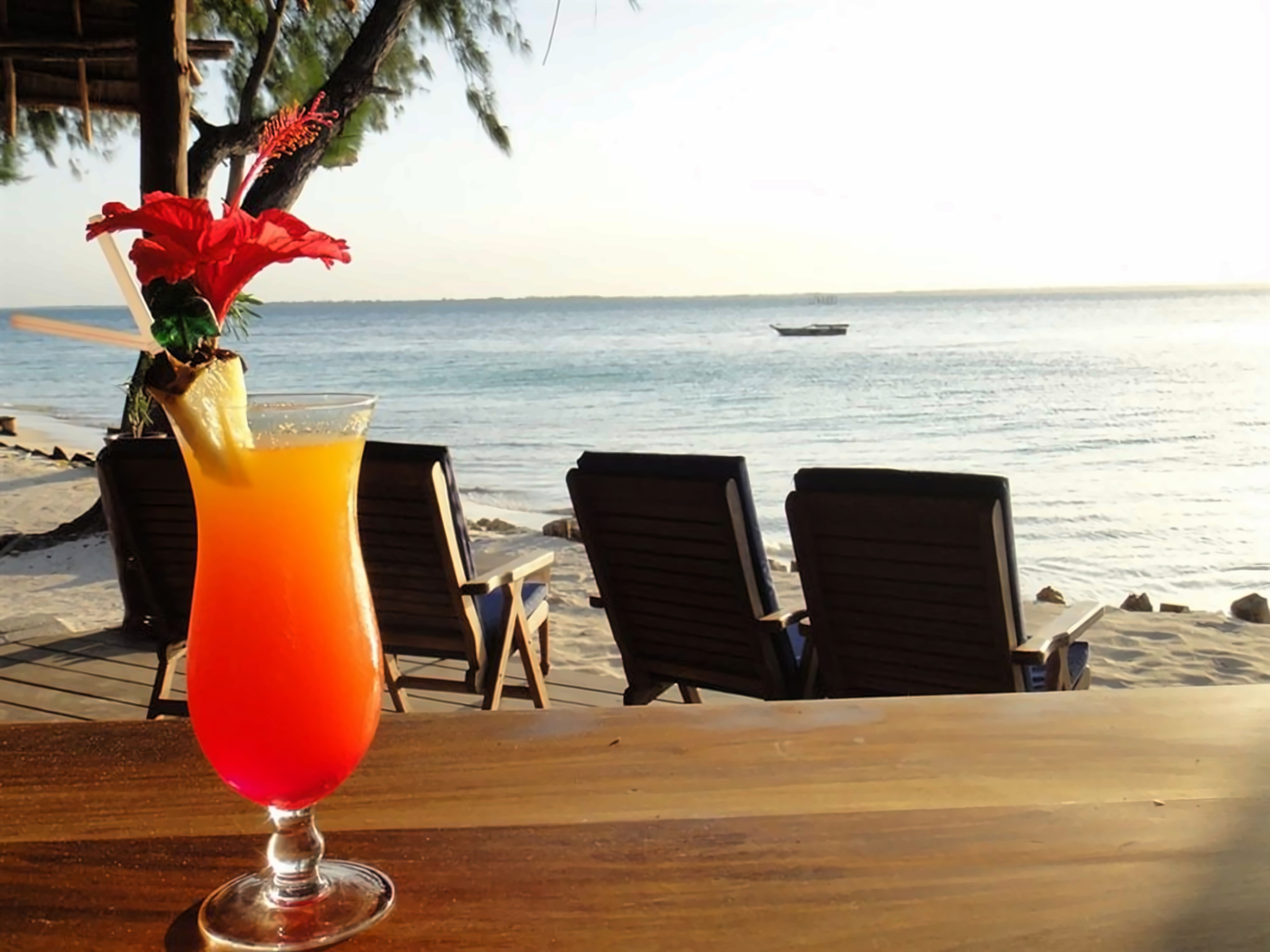 Michamvi Sunset Bay Resort Michamvi Tanzania photo, price for the vacation from Join UP!