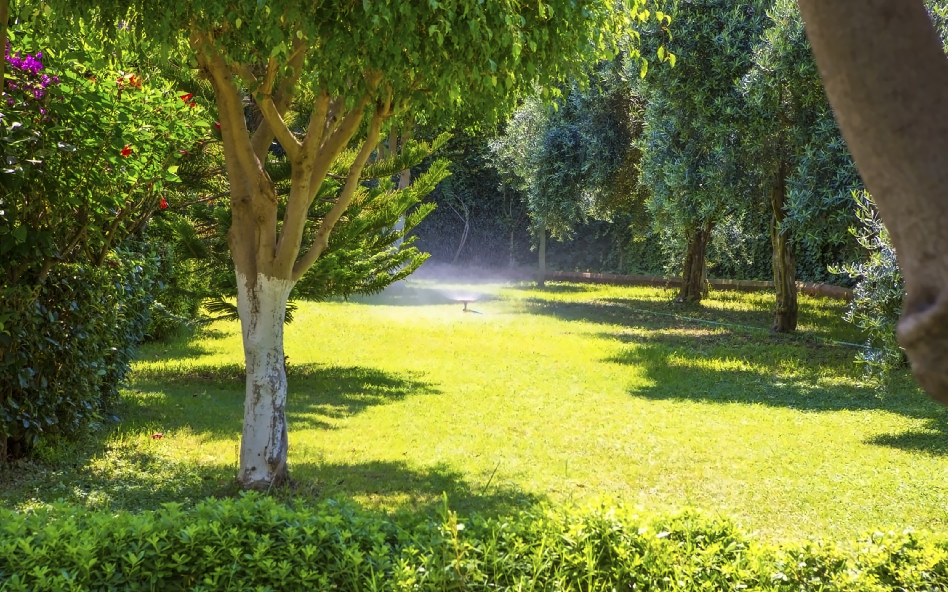 - Primasol Telatiye Resort Alanya Turkiye photo, price for the vacation ...