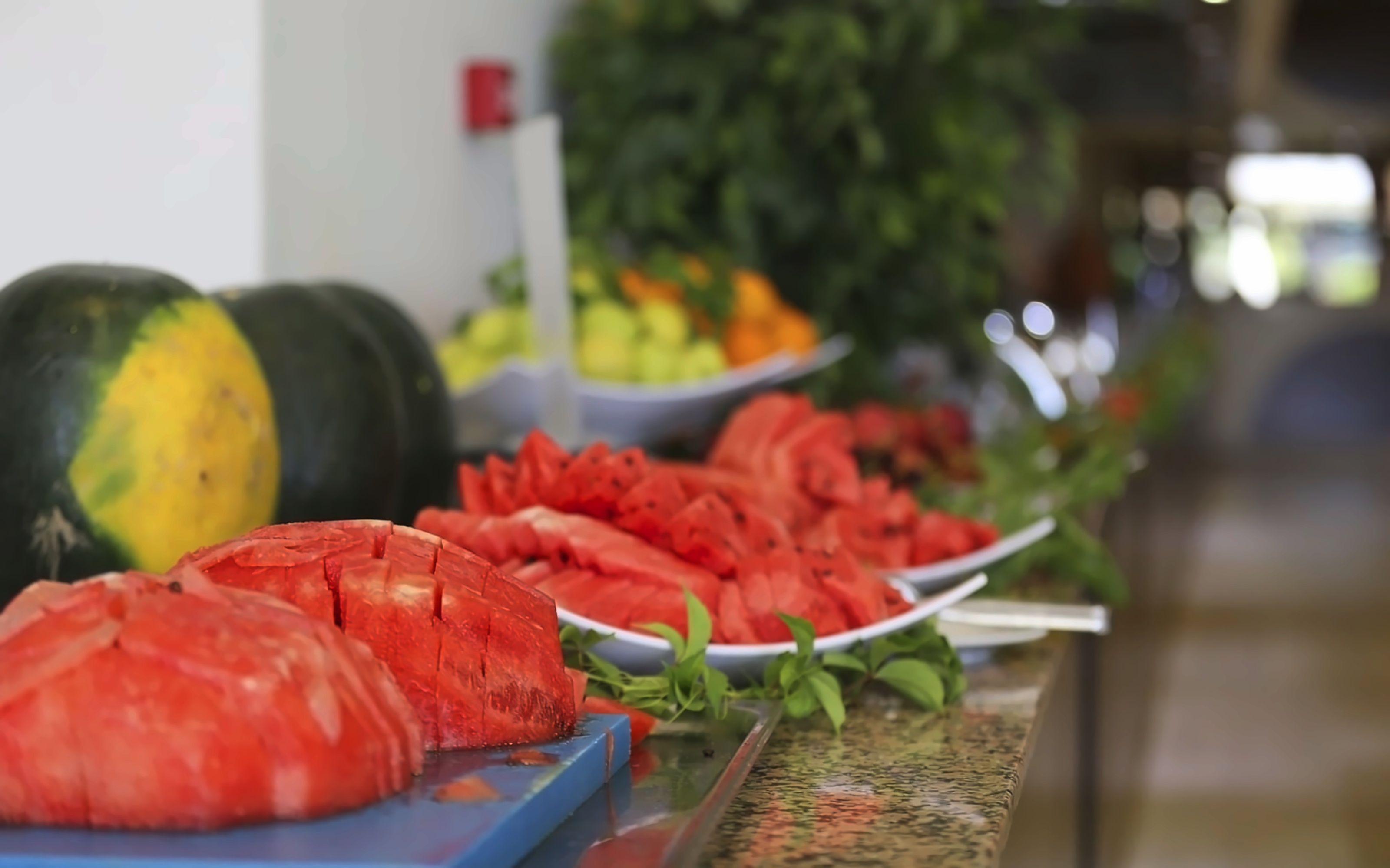 - Primasol Telatiye Resort Alanya Turkiye photo, price for the vacation ...