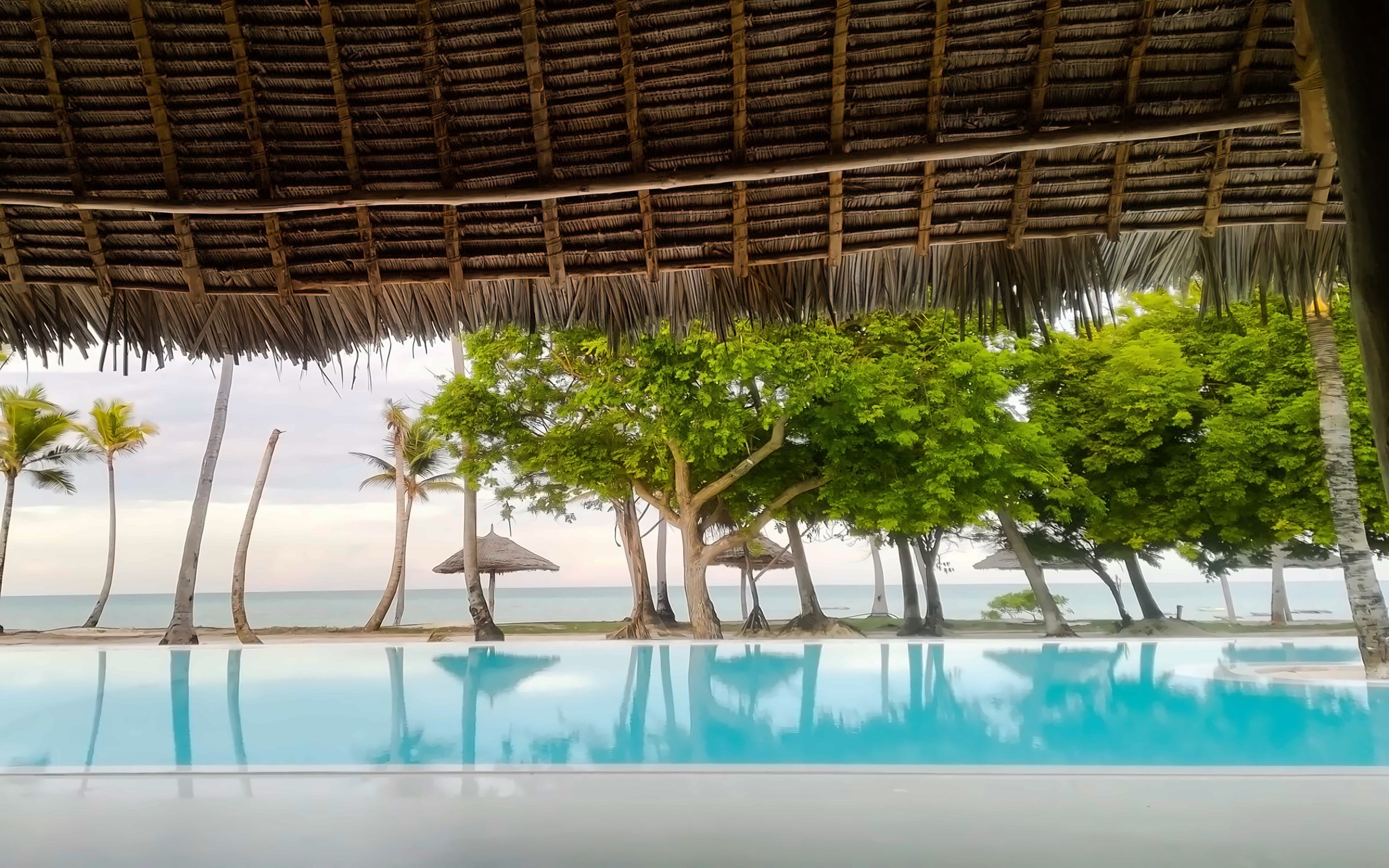 Blue Moon Resort (Adults Only 18+) Jambiani Tanzania photo, price for ...