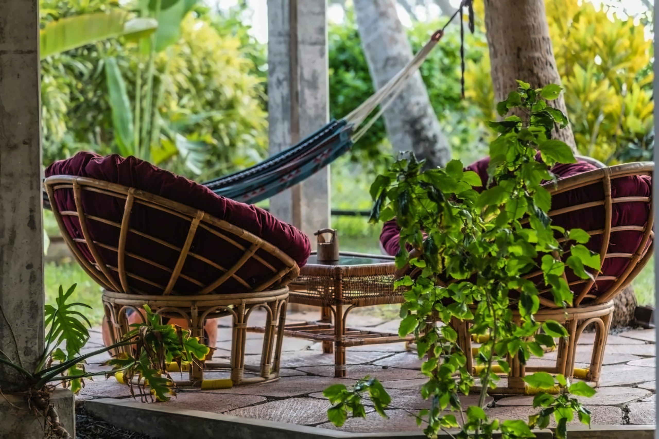 Seven Turtles South coast - Tangalle Sri Lanka photo, price for the ...